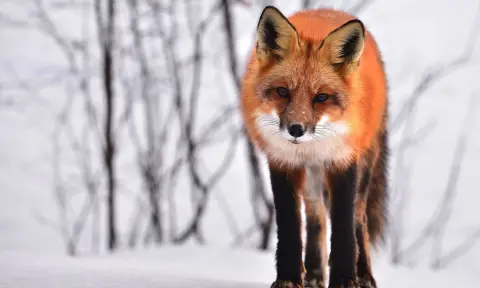 Uitjes.nl | Inspiratie voor de Leukste Activiteiten voor een Dagje Uit