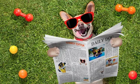 Uitjes.nl | Inspiratie voor de Leukste Activiteiten voor een Dagje Uit