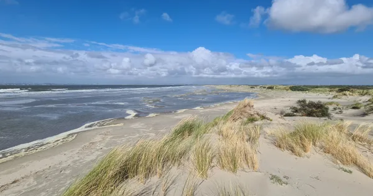 Het Groene Strand