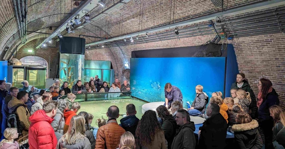Ontdek het zeeaquarium