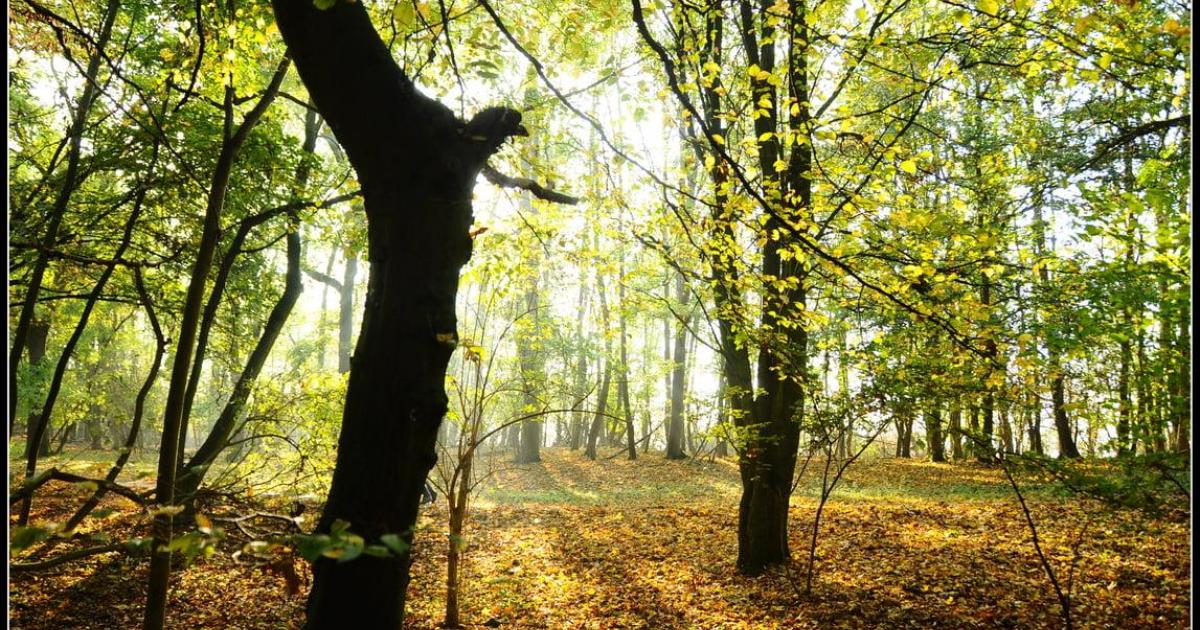 Het ontwaken van de natuur op Sint-Pietersberg