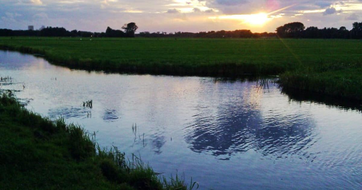 Zomerwandeling in het Achterbos