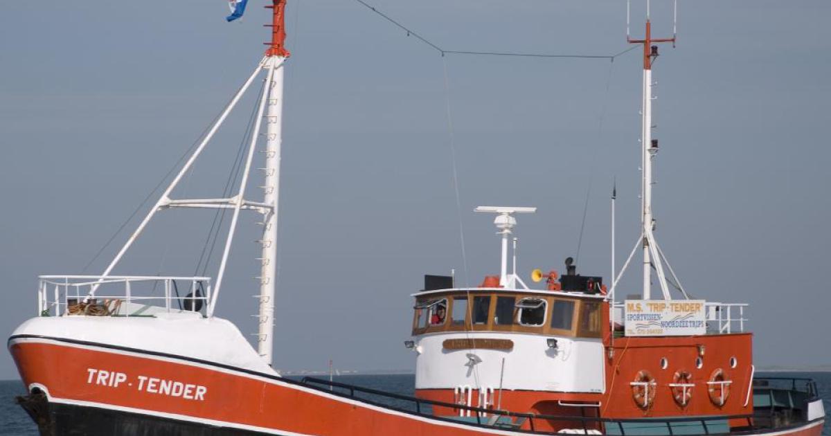 Sportvissen Noordzee
