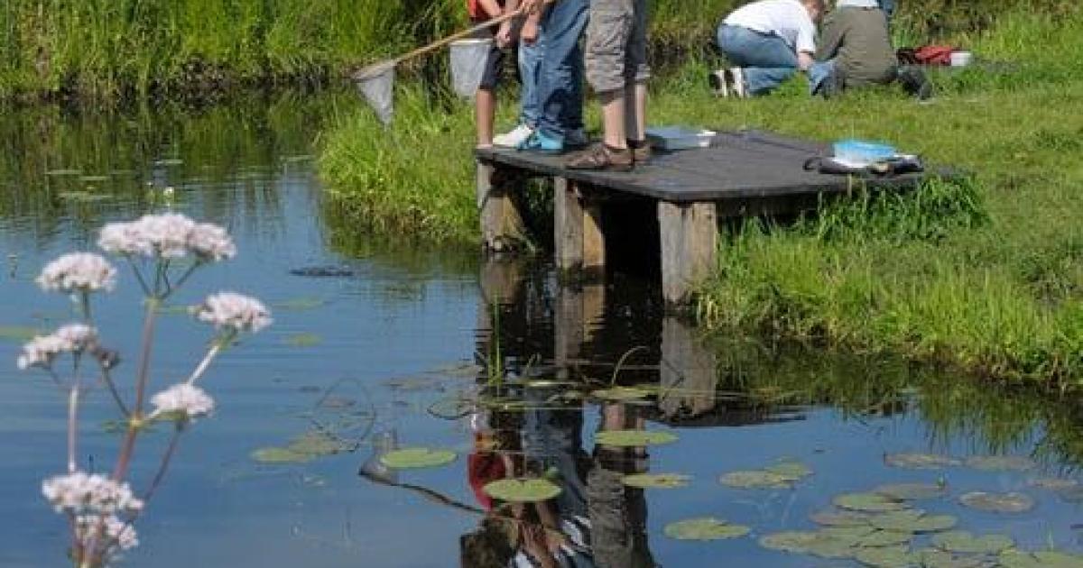 OERRR waterbeestjes zoeken