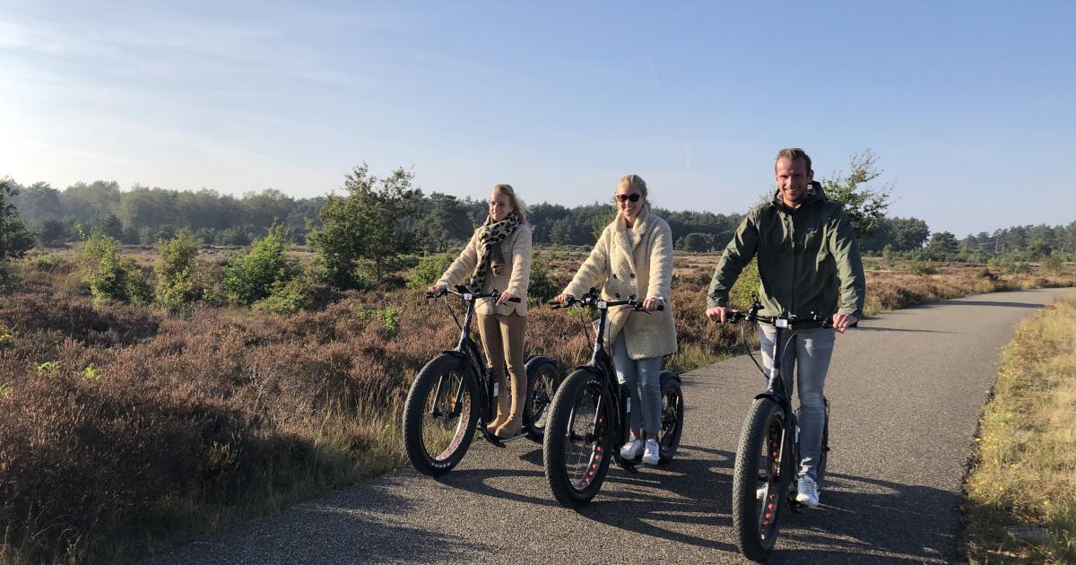 E-Kickbike Fat Max step